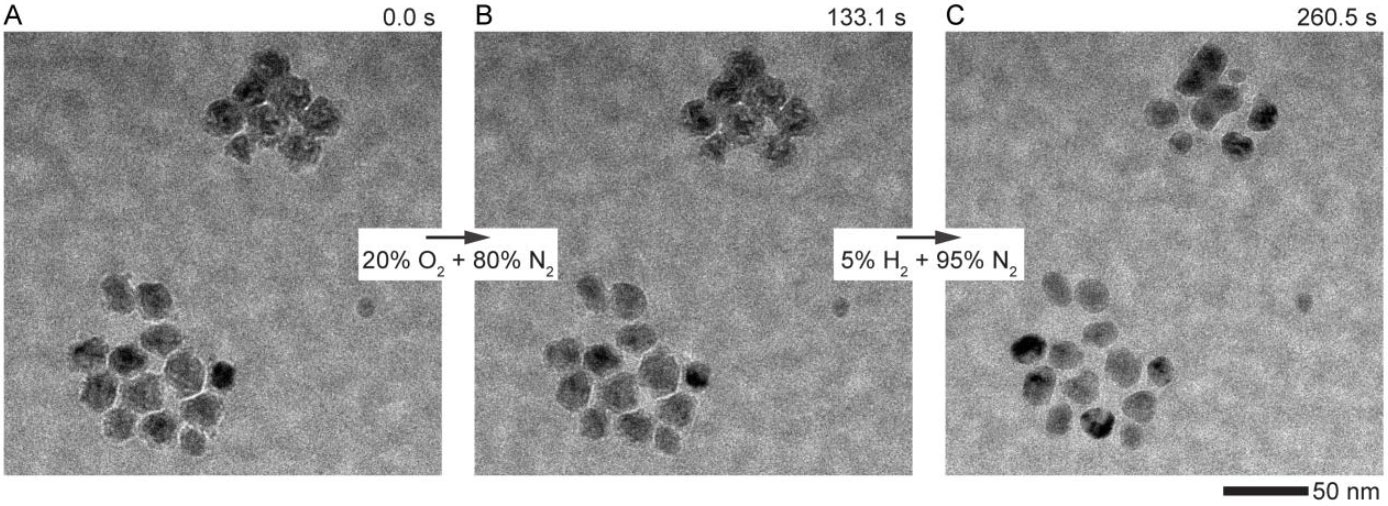 Lightning In Situ TEM Biasing & Heating