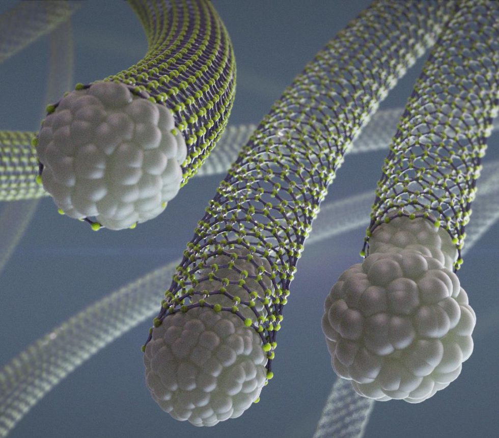 Visualizing dynamic behaviours during carbon nanotubes growth in TEM