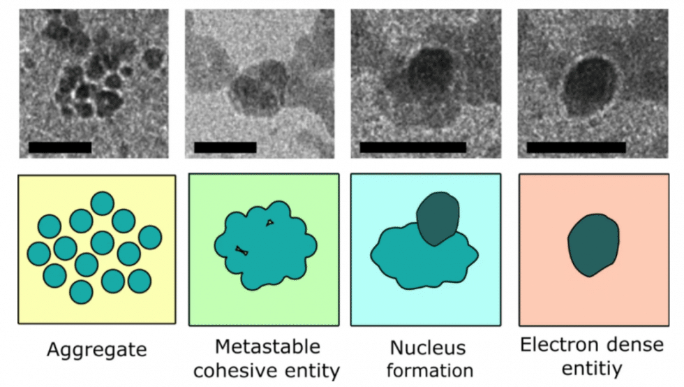 The first direct observation of pharmaceutical non-classical crystallization