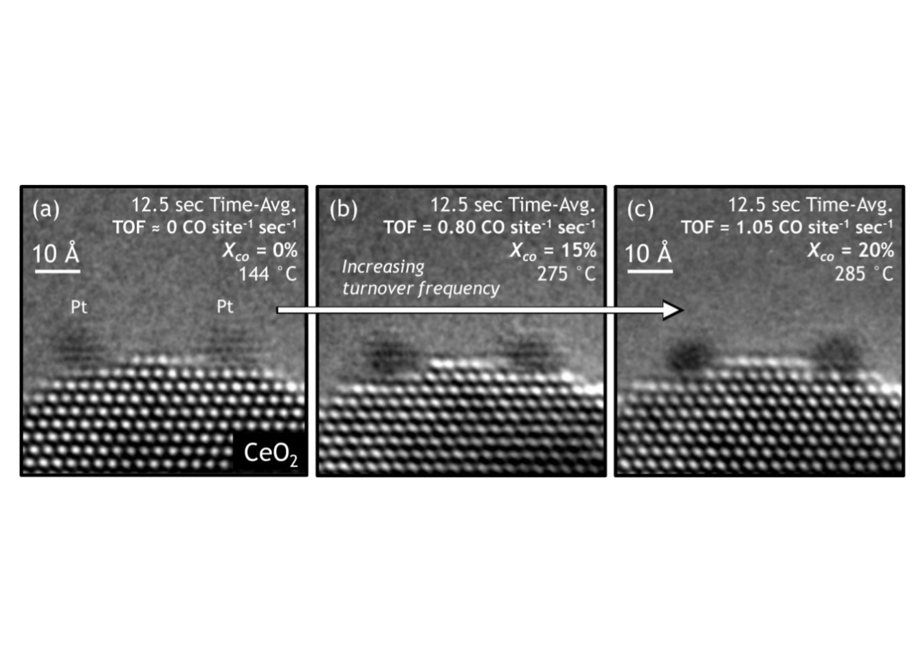 Wildfire In Situ TEM Heating