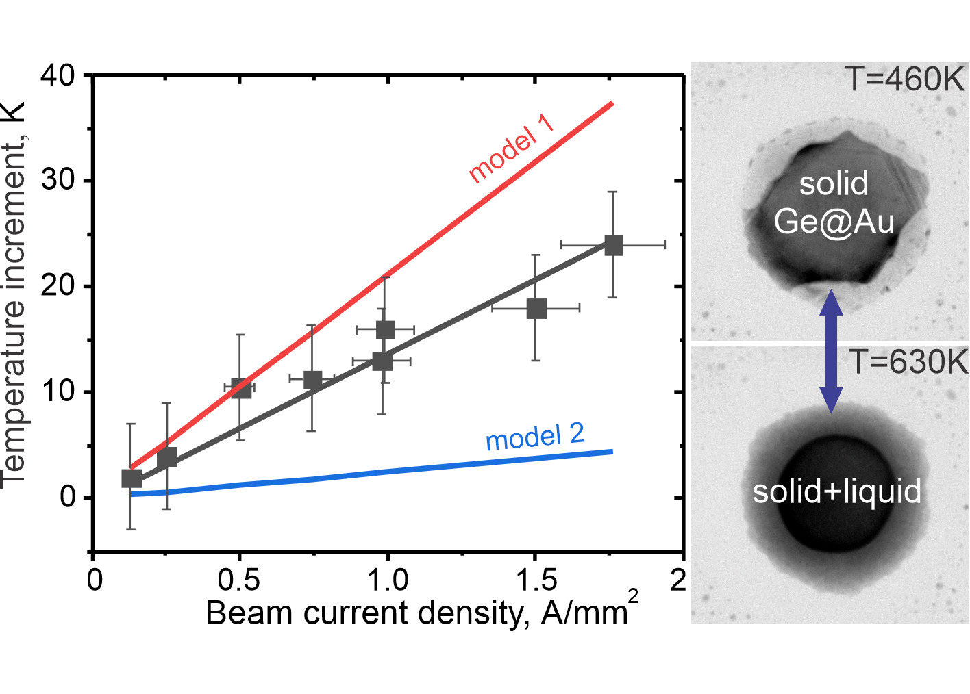 Lightning In Situ TEM Biasing & Heating