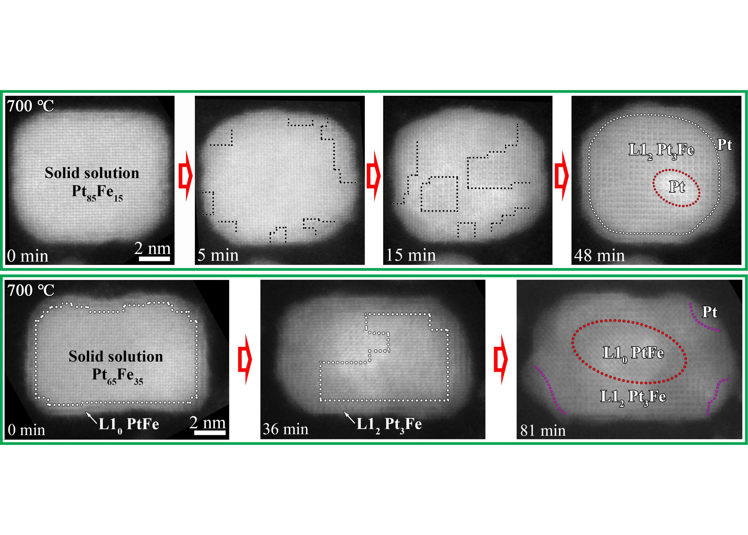 Wildfire In Situ TEM Heating