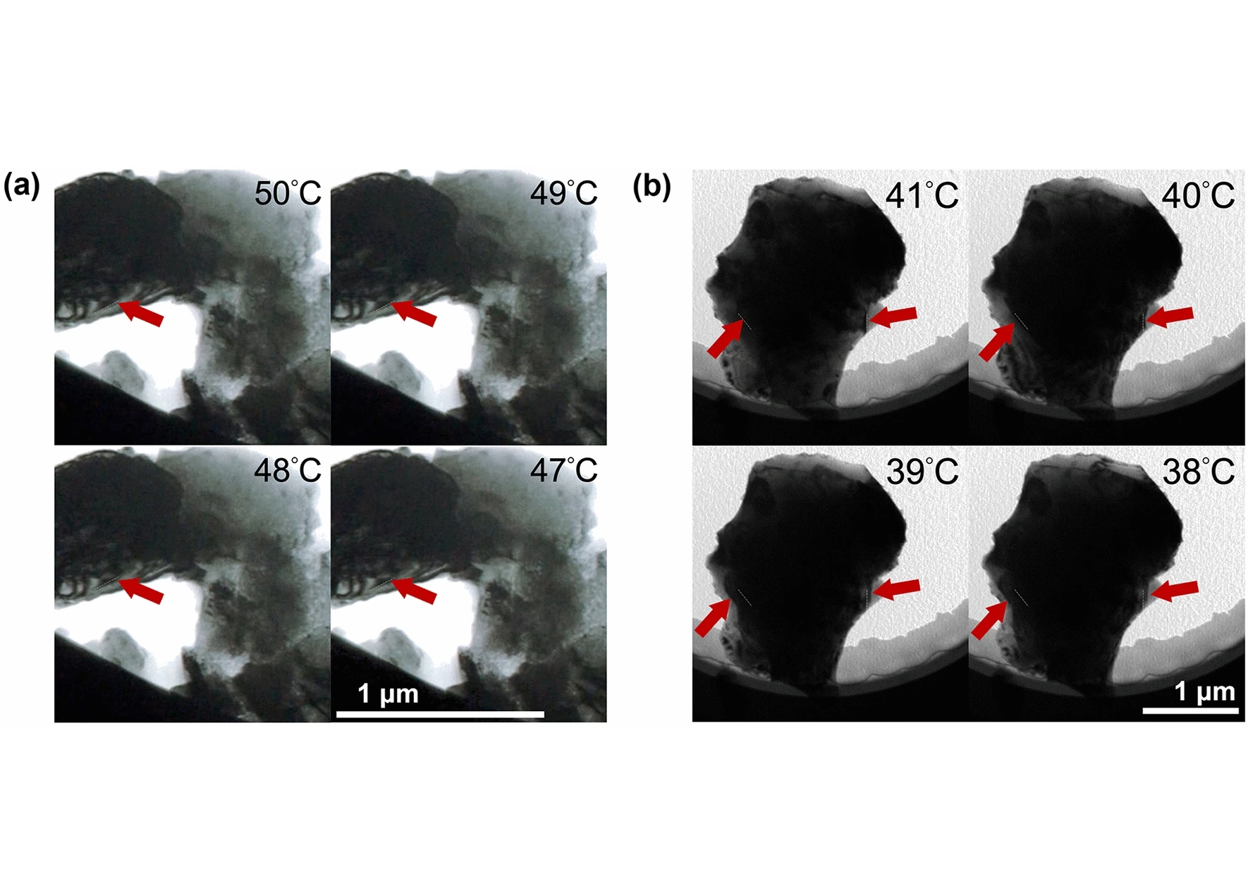 Lightning In Situ TEM Biasing & Heating