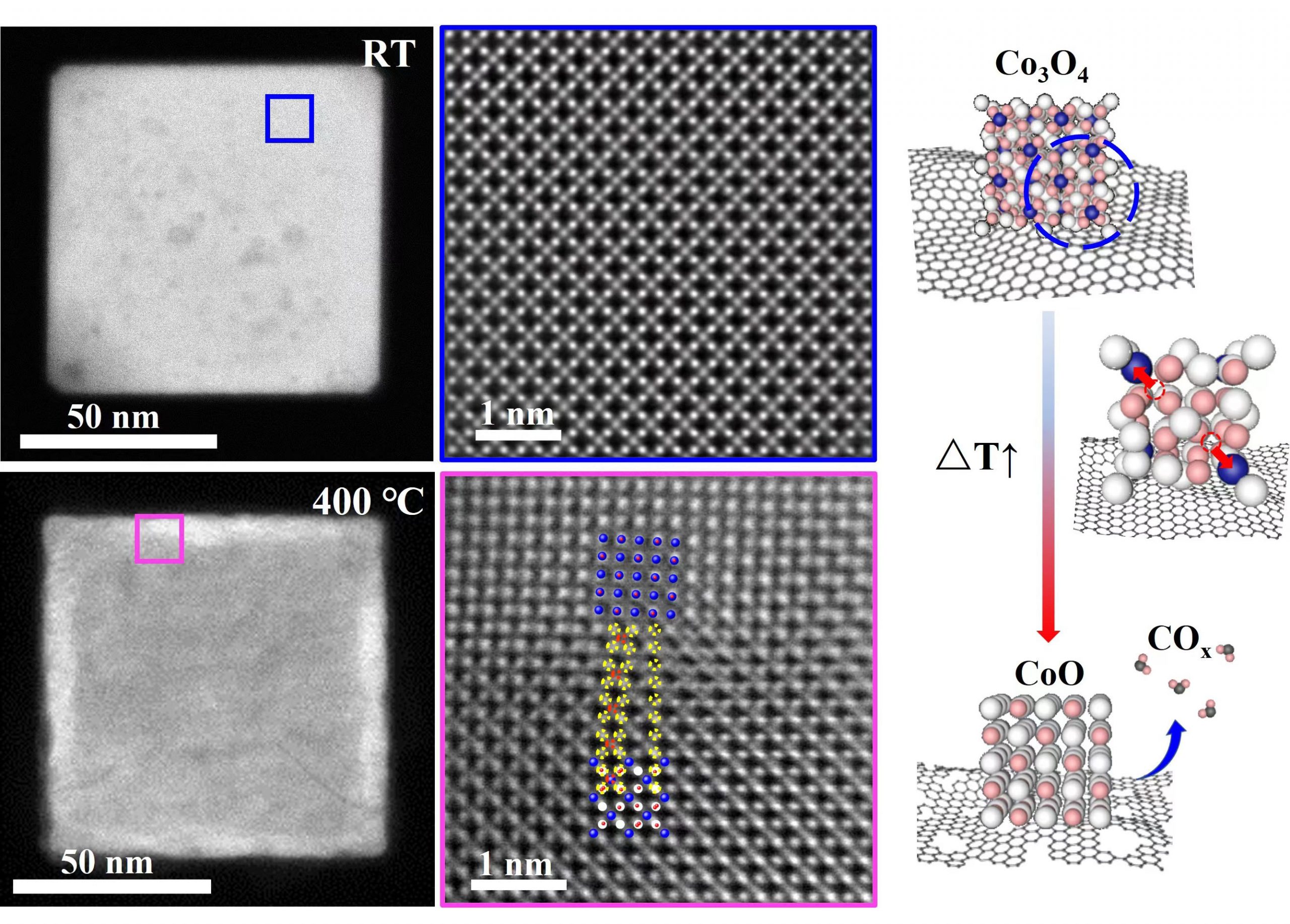 Approaching Elaborate Control of the Nano-Products of Carbothermal ...