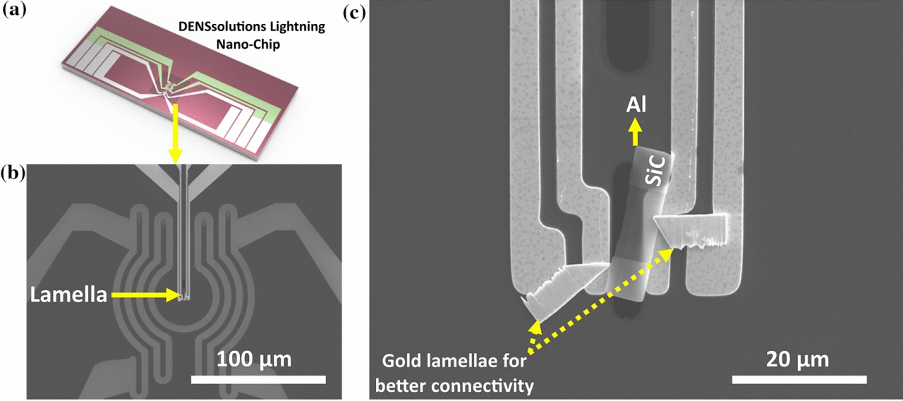 DENSsolutions’ Lightning system helps uncover the interaction mechanism ...