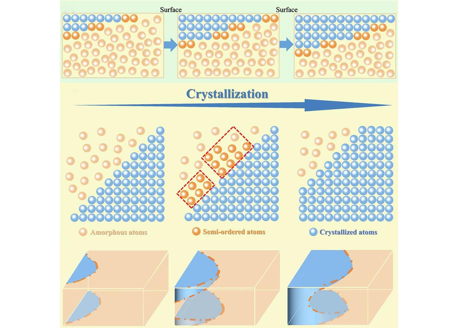 In situ observation of two-step crystallization of amorphous oxides via ...