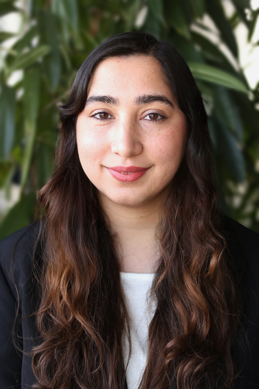 Our Team - DENSsolutions