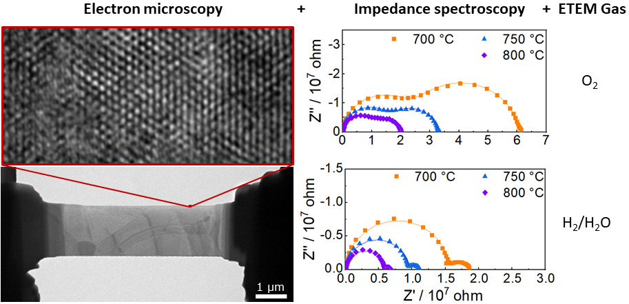 DENSsolutions - In situ Microscopy Innovative Solutions