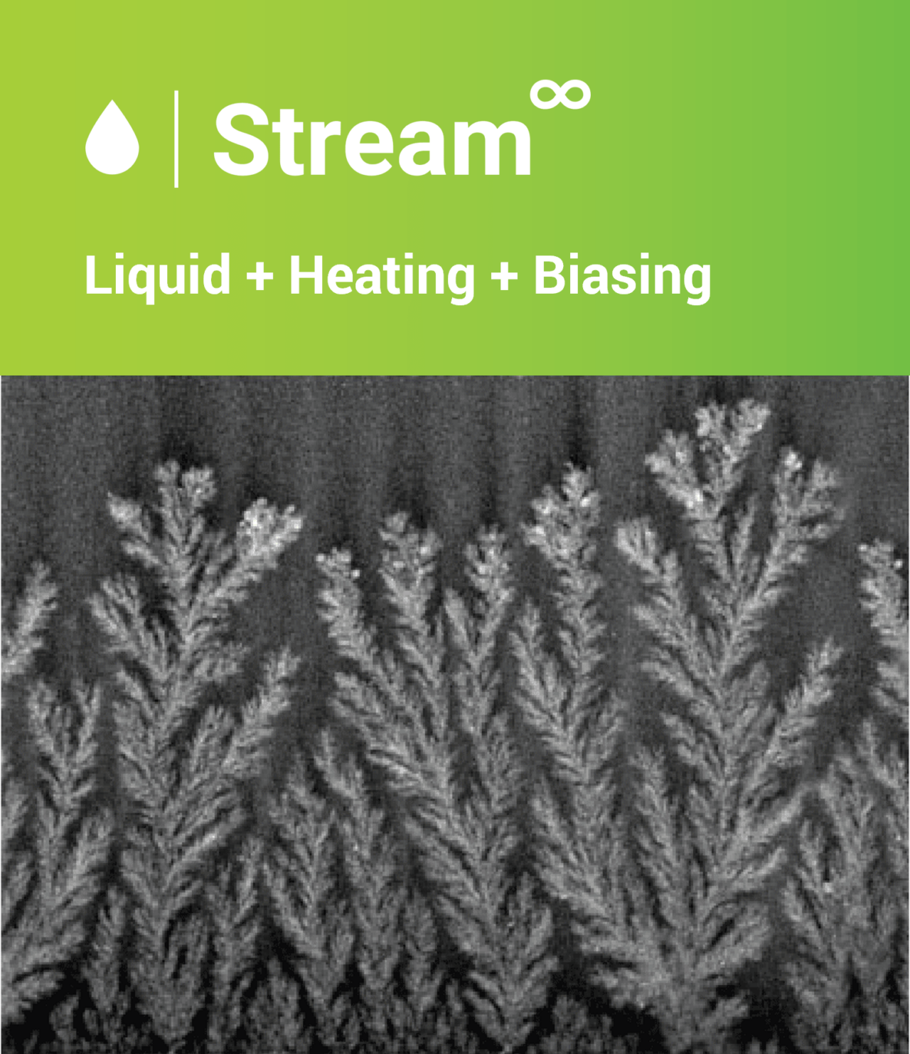 DENSsolutions - Innovative In situ Electron Microscopy Solutions