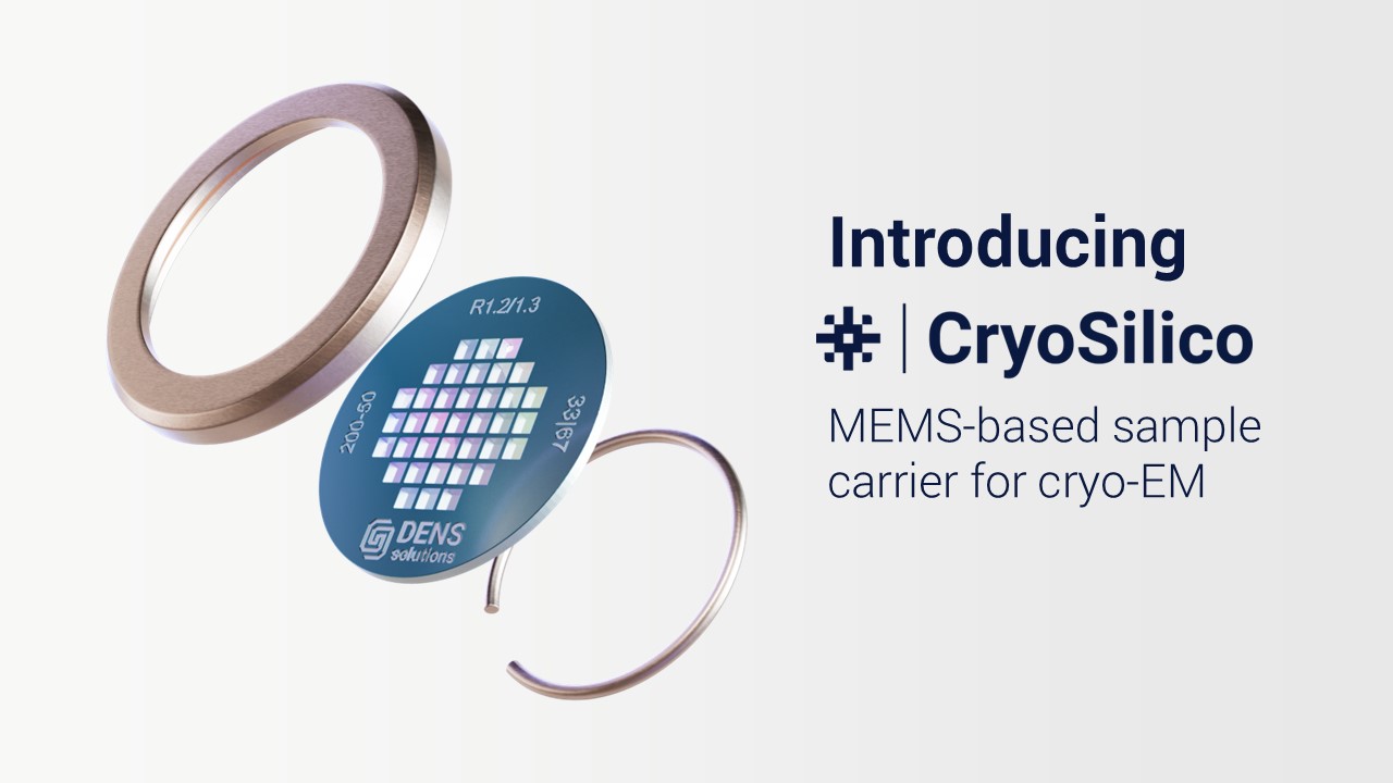 CryoSilico - DENSsolutions